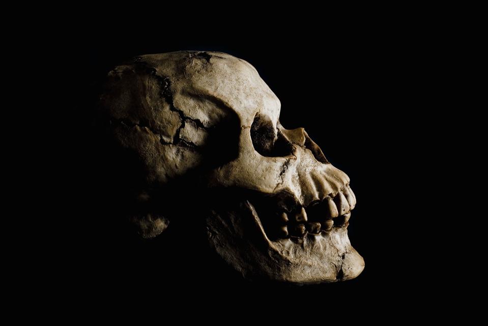 Oldest Fossils Of Modern Humans Dated To More Than 230,000 Years Ago