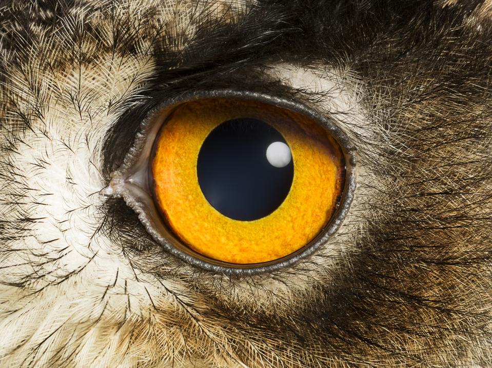 Measure What Matters: How To Choose The Right Metrics