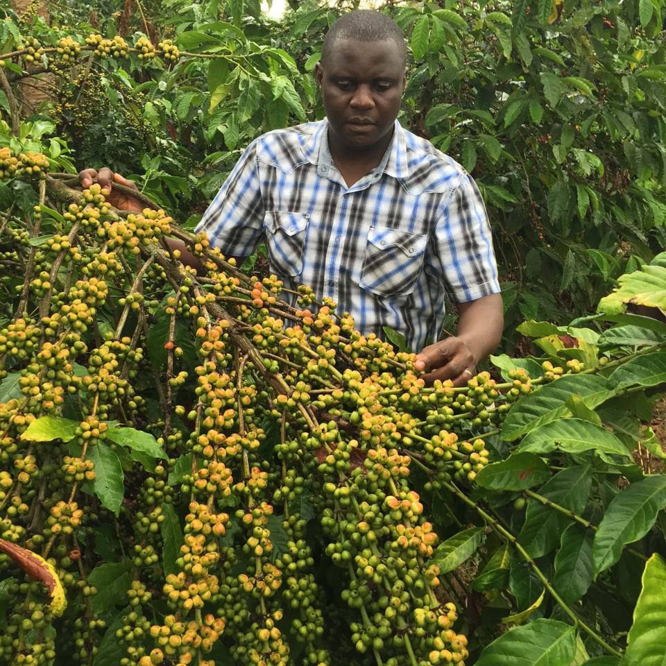 To Reach Its Growth Goals, Miller Center Doubles Down On High-Potential ...