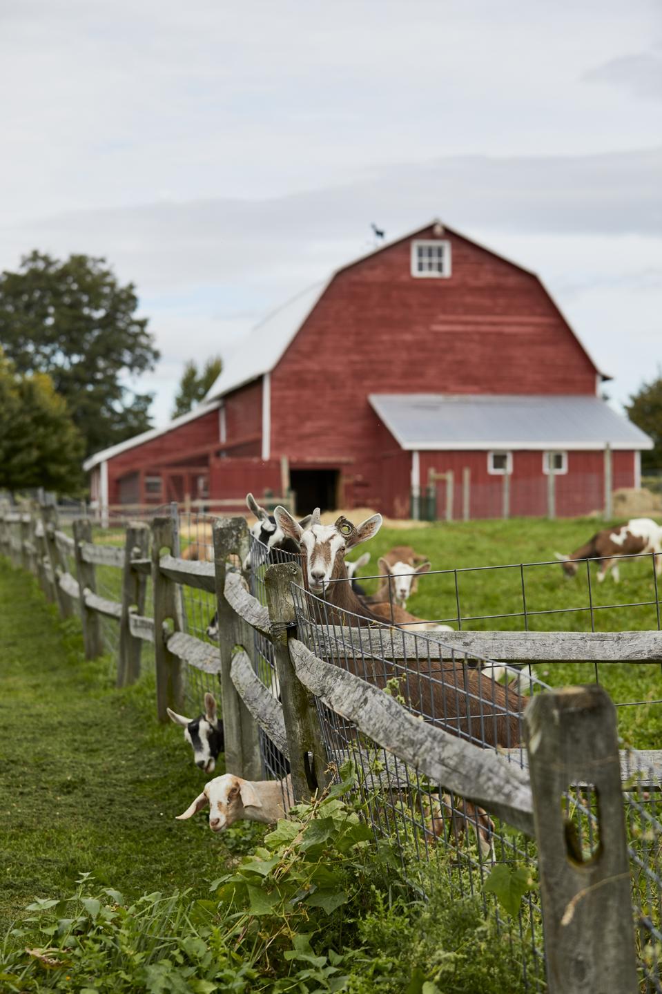 Science Proves This Behavior Will Make You More Beautiful