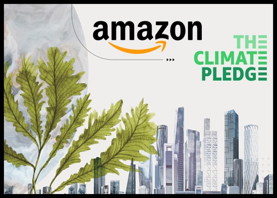 Momentum For Amazon's Climate Pledge Continues To Snowball