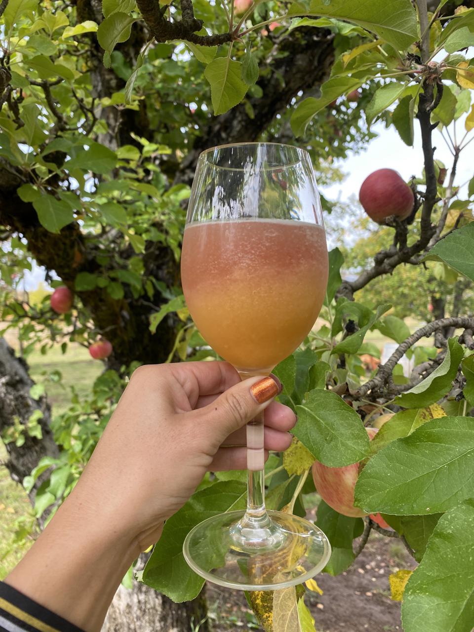 The History Behind Six-Generation Gowan’s Cidery And…