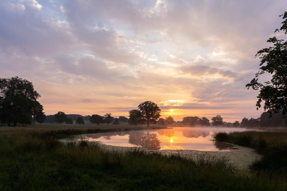 Rewilding Meets A Growing Luxury Tourism Offering At Wilderness Reserve