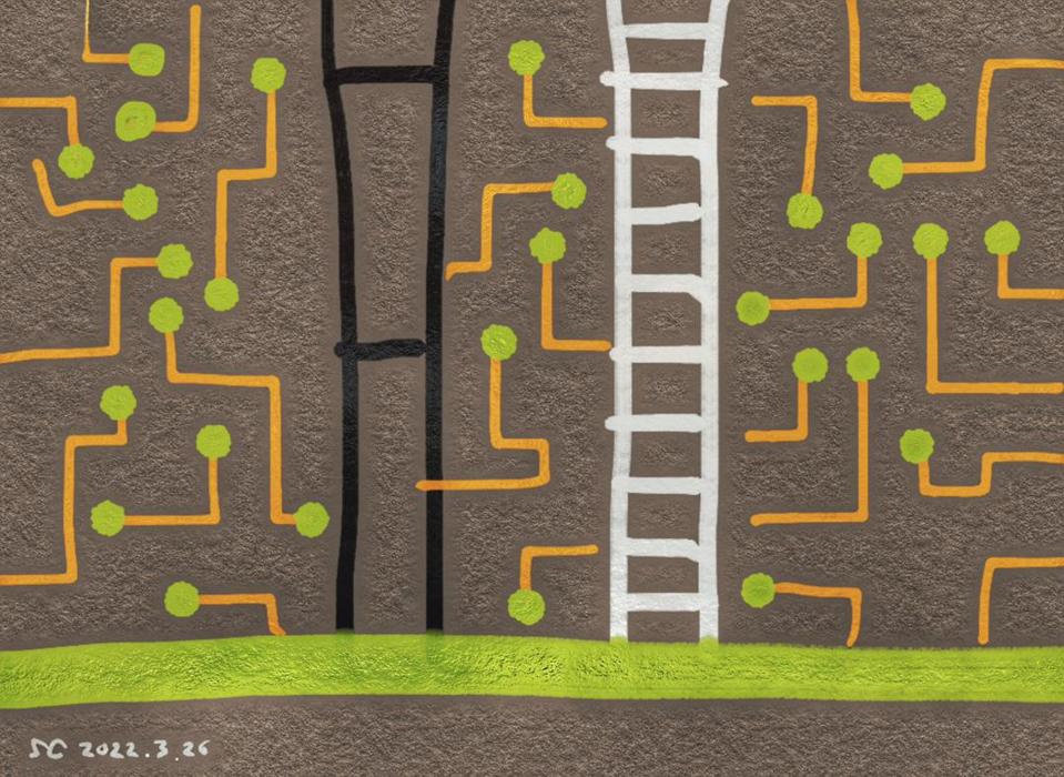 Human Rights And Inequality In The Digital Age