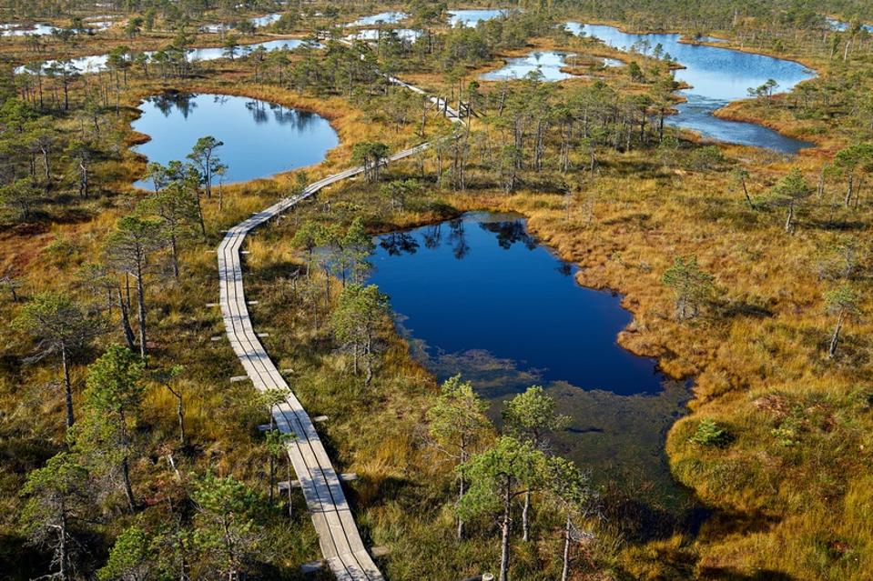Five Stunning National Parks To Visit Across The Baltics