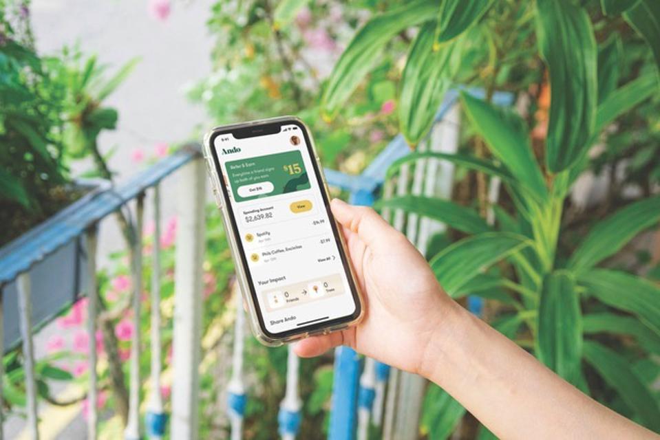 How Ando Is Greening The Banking Industry—and, Soon, The Insurance Industry