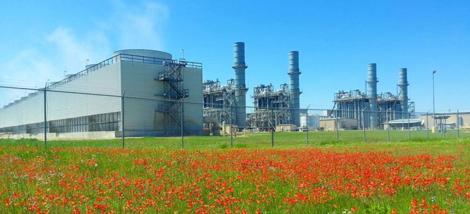 The Yeoman Nature Of Small Utilities Exemplified By Rayburn