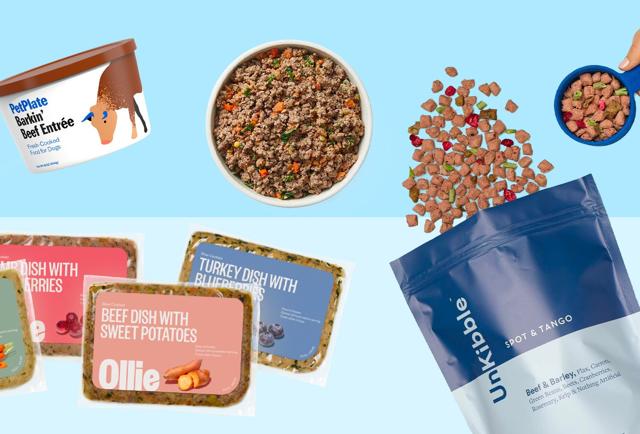 4 Fresh Dog Food Delivery Options That Will Have Your Pup Eating Like ...