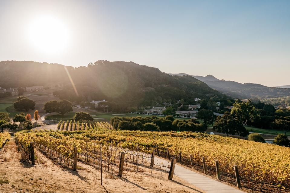 Destination Spirits: Sleep Among Pinot Noir Vines In California’s ...