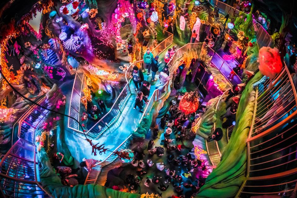 Where To Stay and What To Do When Visiting Meow Wolf In Denver