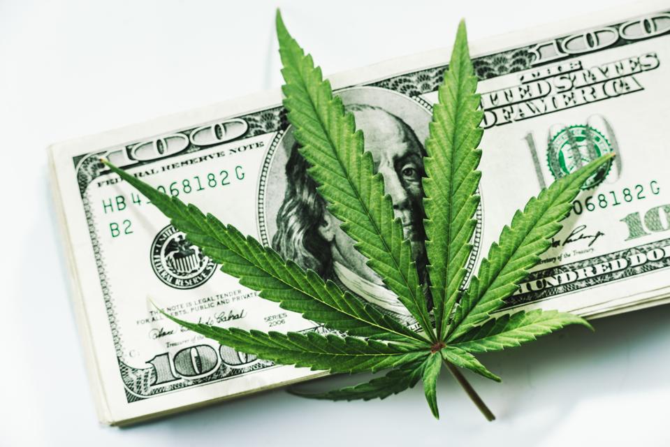 Cannabis Consumers Can Forget Cash With Dutchie’s New Digital Payment ...