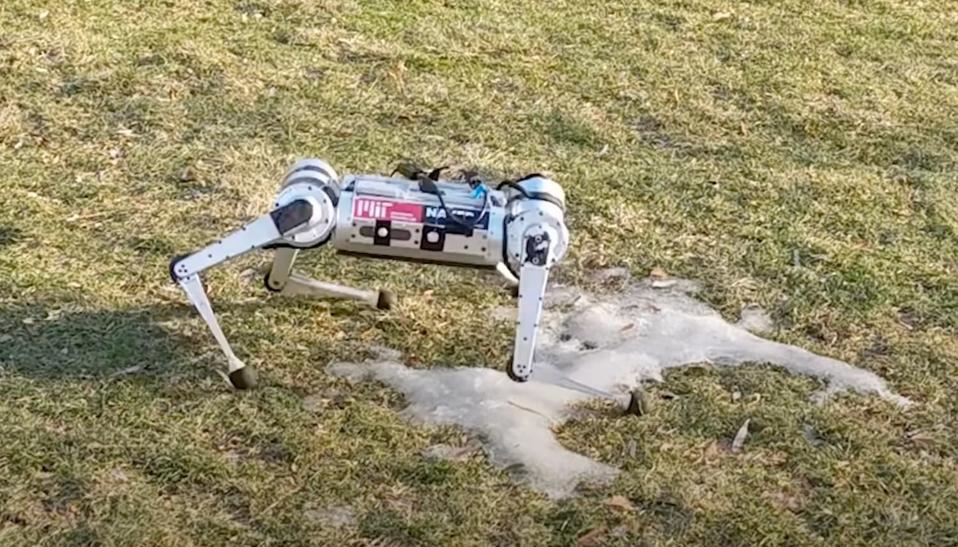 How MIT Helped A Blind Robot Teach Itself To Walk In 3 Hours