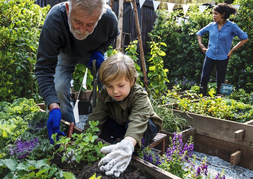 What Can Retirees Do About Climate Change?