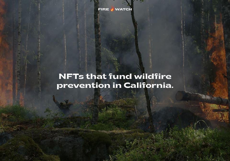 Y Media Labs’ ‘Firewatch’ NFT Collective Aims To Combat Environmental ...