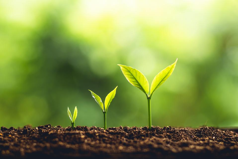 Going For Growth: Three Ambitious Strategies That Can Reap Rewards