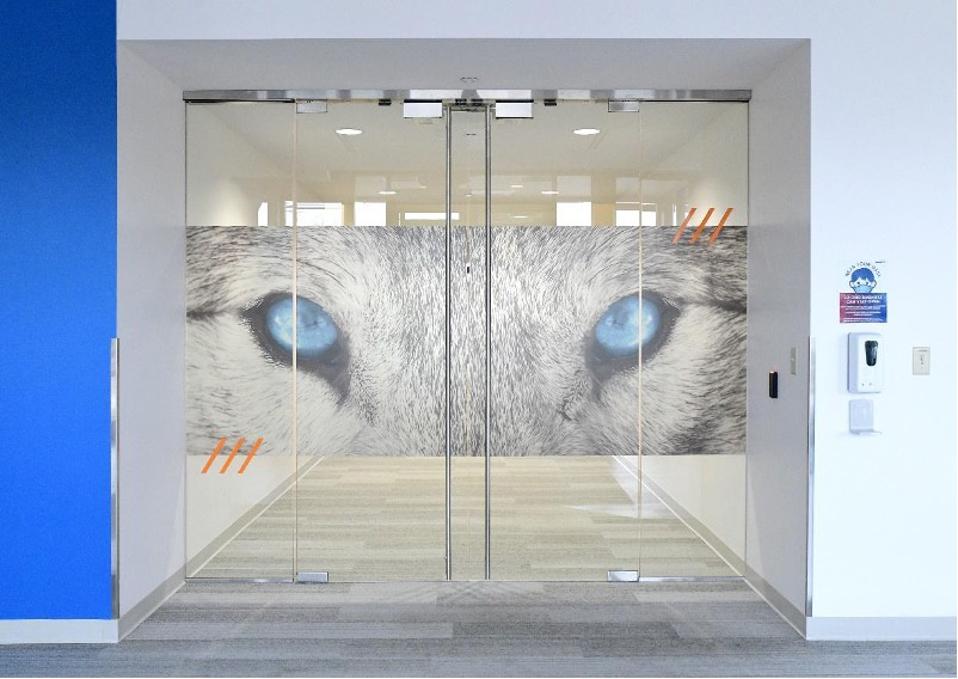 Arctic Wolf And Its Mission To Own The Cybersecurity Journey