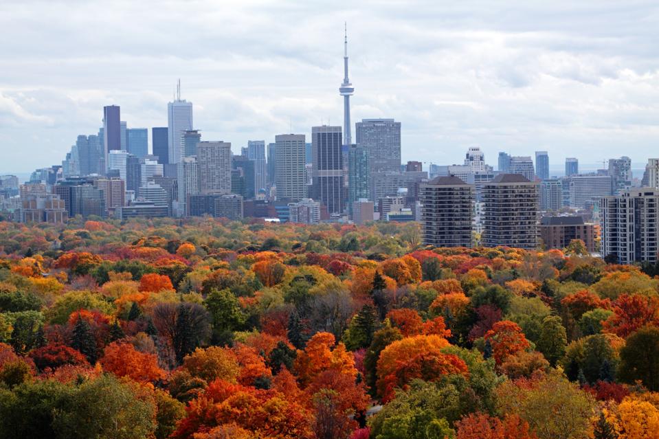 5 Toronto Parks To Admire The Beauty Of Autumn
