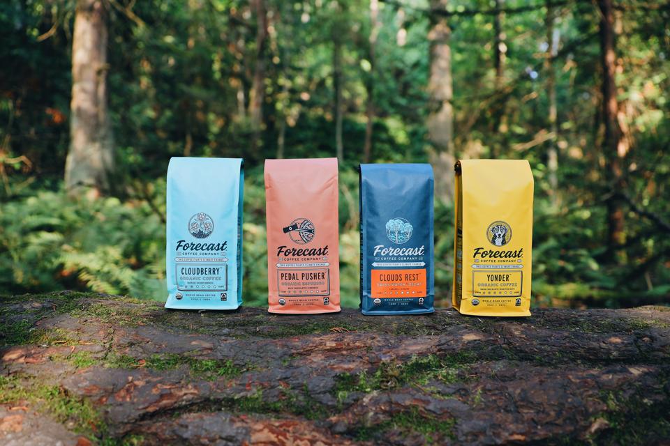 Agroforestry Is Going To Be The New Buzz Word In Coffee