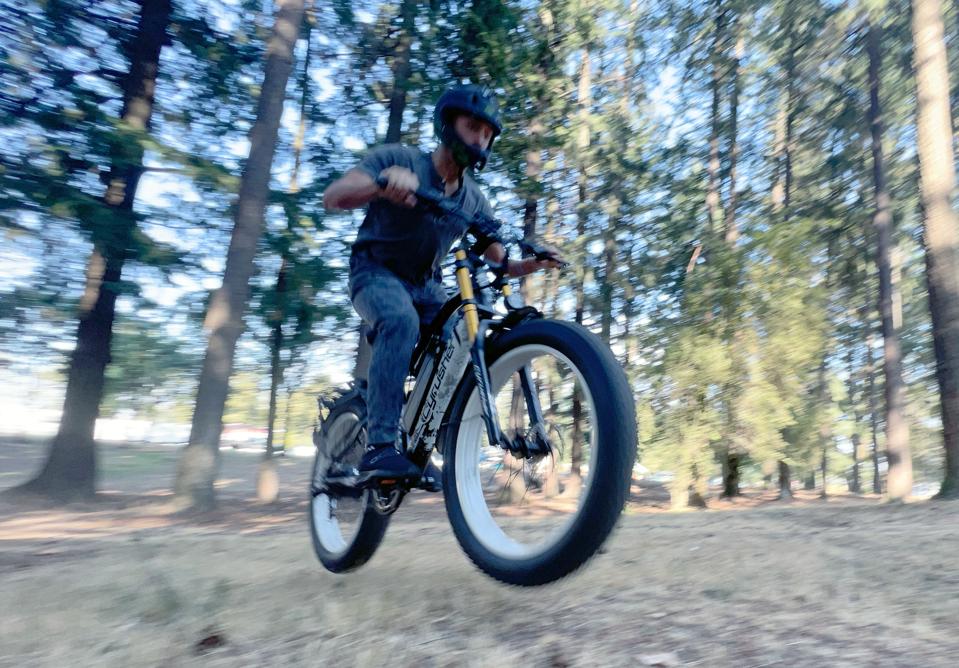 Big And Burly, The Cyrusher XF-900 Full-Bounce Fat Tire E-Mountain Bike ...