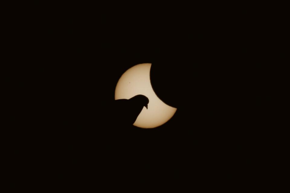 Exactly How And When You Can Photograph Next Week’s Partial Eclipse Of ...