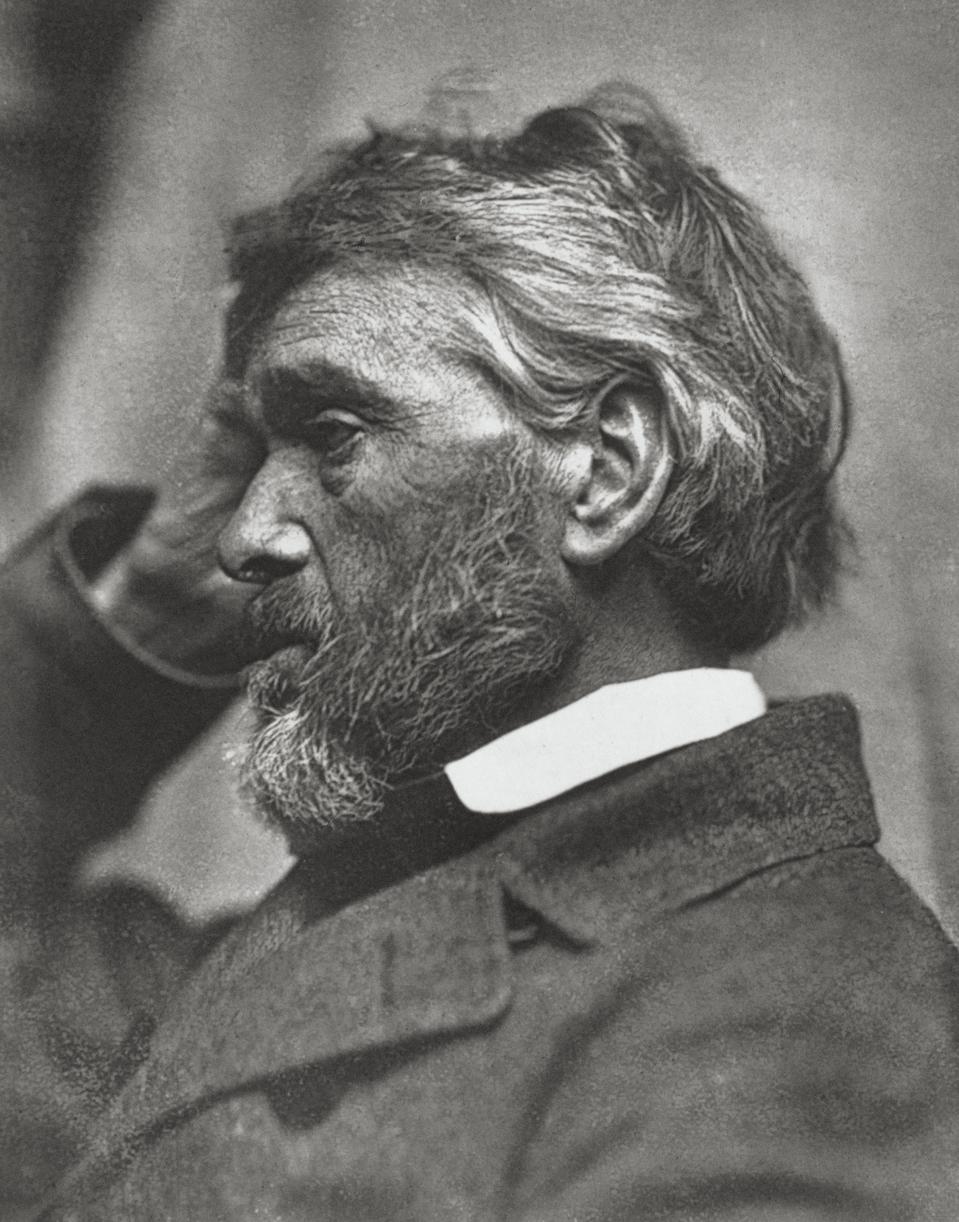 Why Is Economics Called the “Dismal Science”?