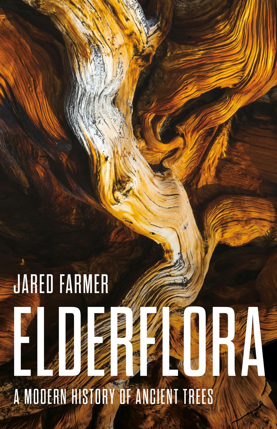 Book Review: Elderflora: A Modern History Of Ancient Trees