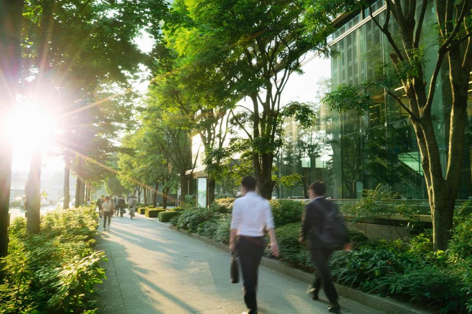 ESG, Sustainability Initiatives, And Financial Reporting