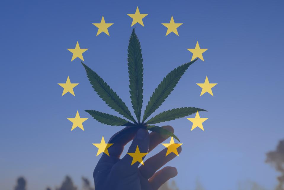 By Legalizing Recreational Cannabis, Germany Wants To Be A Model For Europe