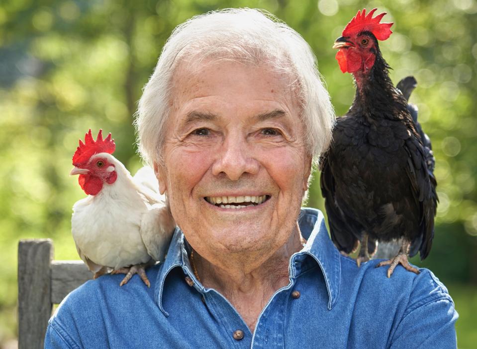 Fans Of Chef Jacques Pépin Love This Fun New Look At Chickens, Art And ...