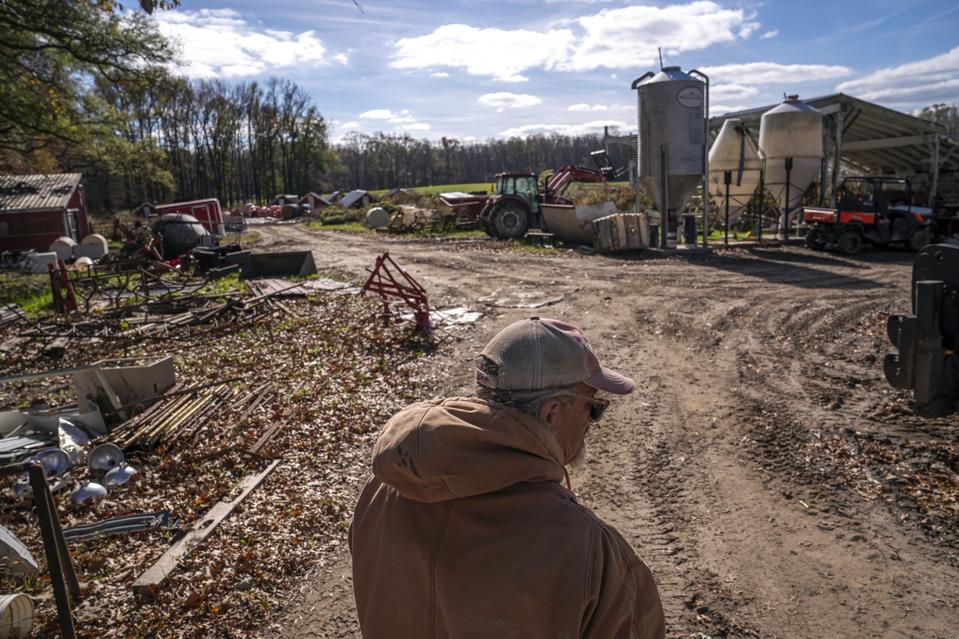 The High Price Of Holiday Turkeys Is A Reminder That Human And Animal ...