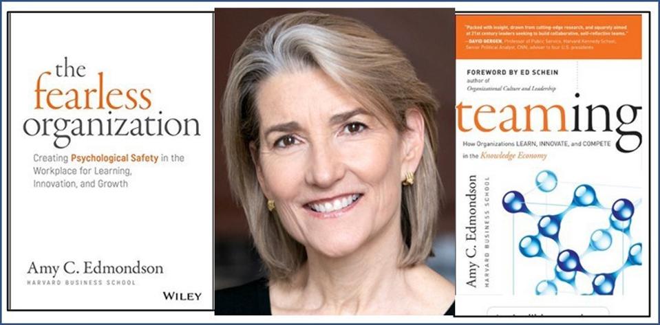 Amy Edmondson: How To Make Firms Fearless