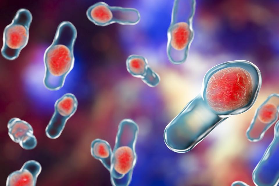 Learn To “See” C. Difficile To Protect Yourself From This Serious Infection