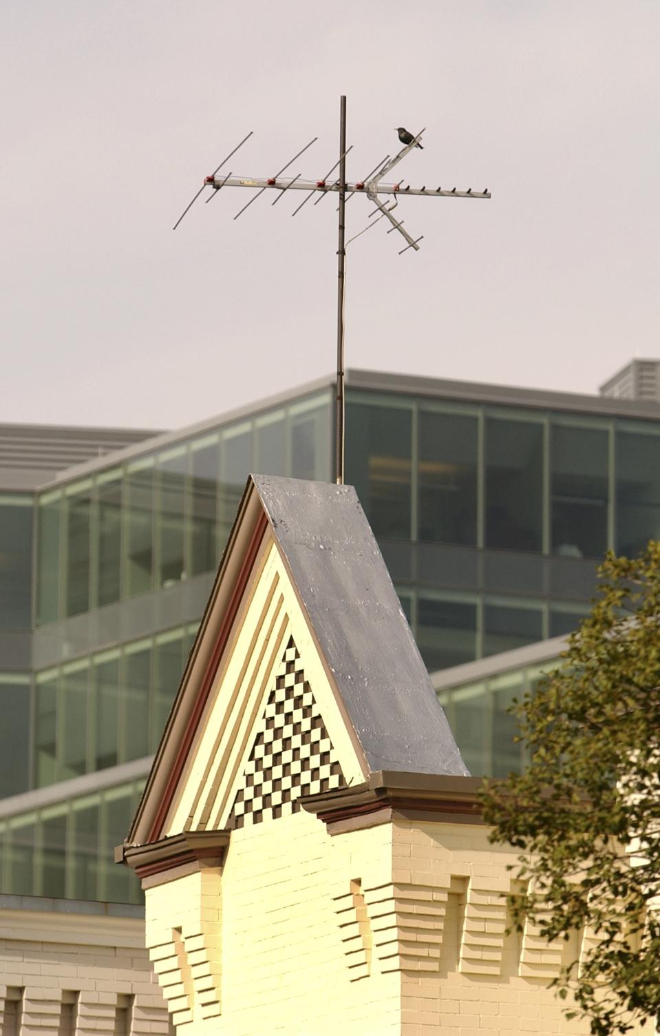 As Cord Cutting Grows And Streaming Video Struggles; Viewers Are Buying ...