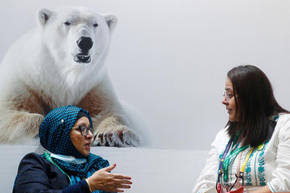 3 Things You Can Do To Help Preserve Biodiversity