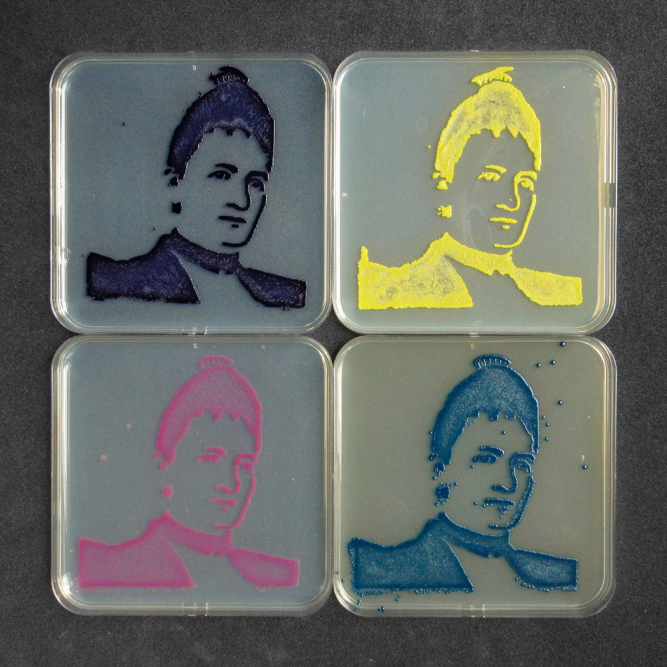 Microbiology Awards For Bacteria Art