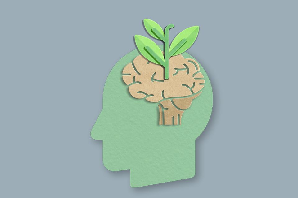 Applying The Growth Mindset Framework To Executive Coaching