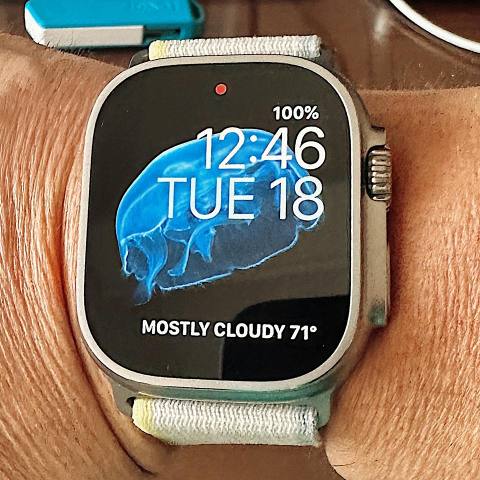 Apple Watch Ultra Review: The Ultimate Apple Watch Is The Best, Most ...