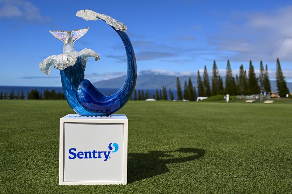 Sentry Enjoying Big Returns With Elevated Status, $15 Million Prize ...