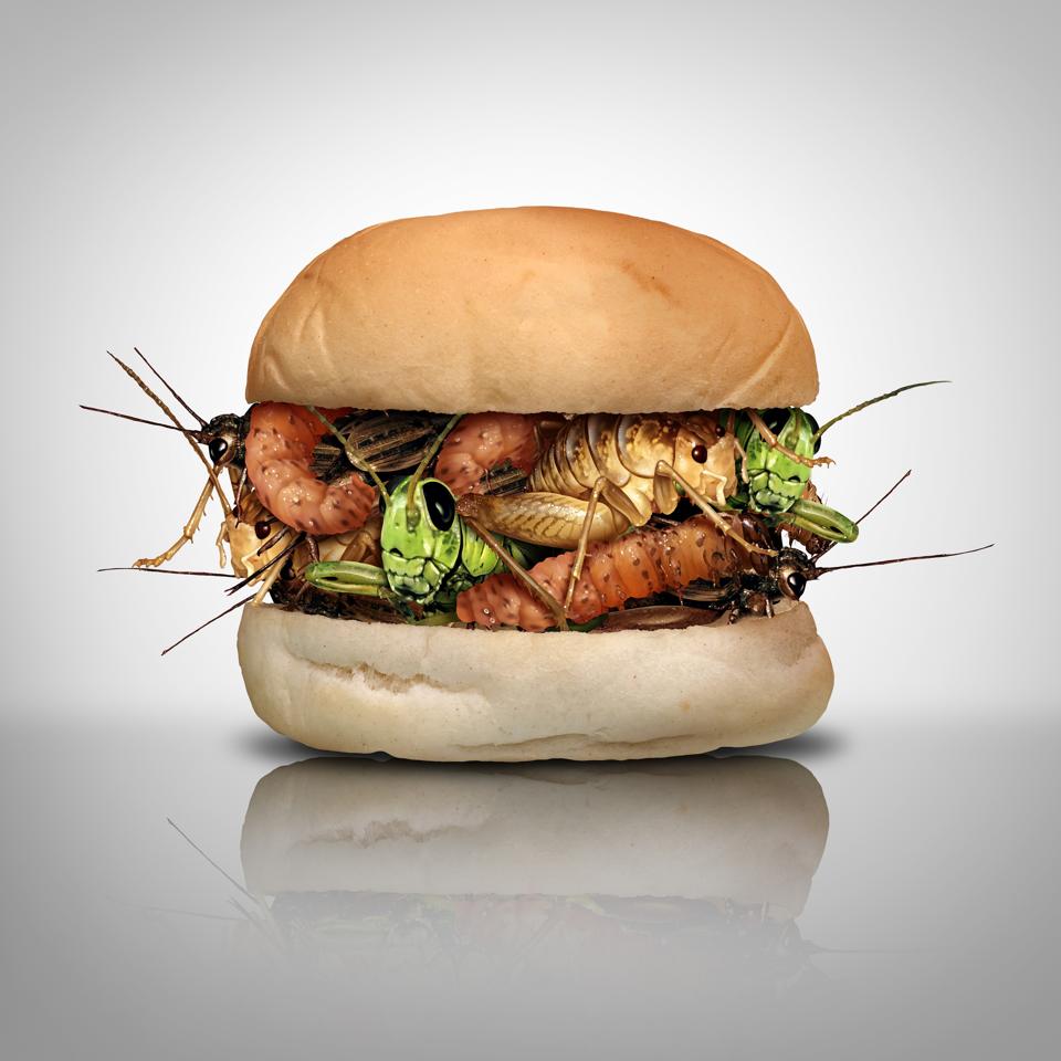 Eat Bugs! It’s What’s For Dinner