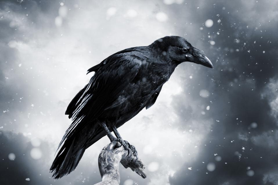 My RAVEN Strategy For 9.2% Dividends That Crush Crypto