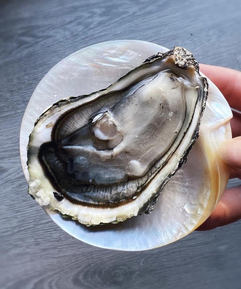 Denmark’s Surprising New Hotspot For Food Isn’t Where You’d Think