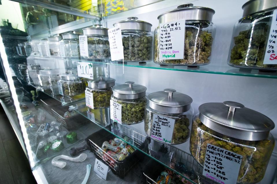 Michigan's Cannabis Regulatory Agency Reports Record-High Sales—And ...