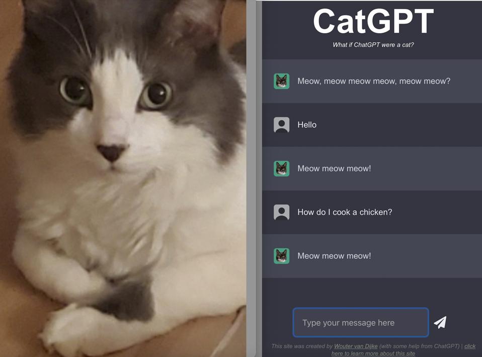 ChatGPT Hits 100 Million Users, Google Invests In AI Bot And CatGPT ...