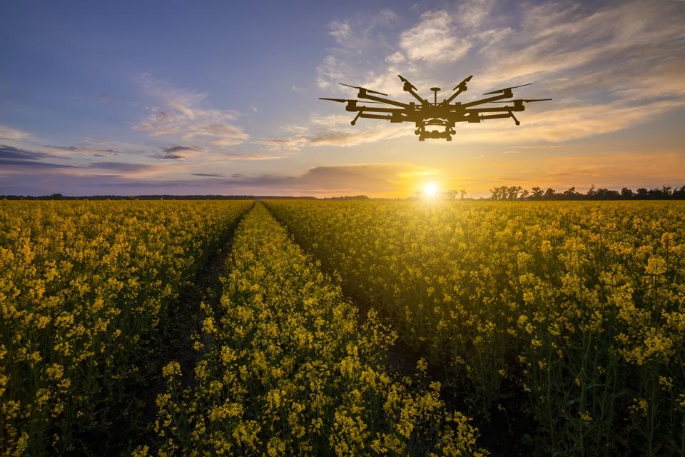 AI Applications In Farming: How Technology Can Help Solve Hunger