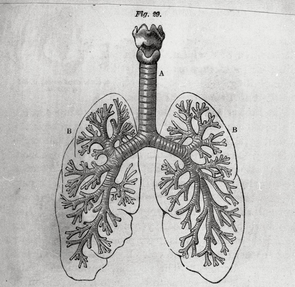 Clean Air Can Boost Children’s Lung Capacity