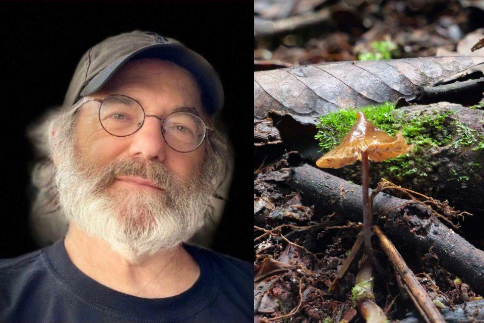 There’s A New Species Of Magic Mushroom - Named After Paul Stamets