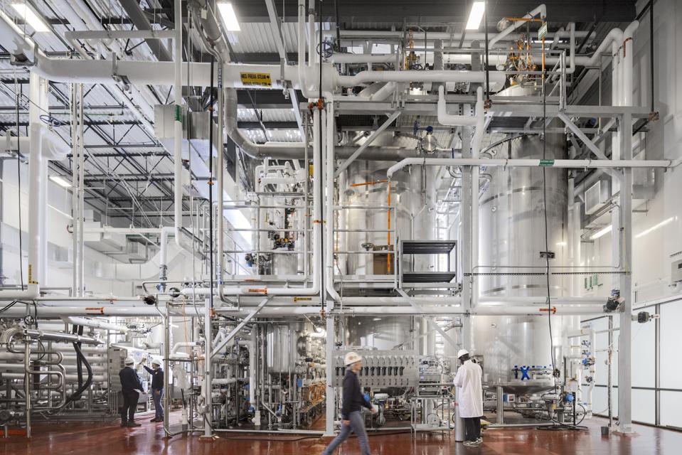 Fungi-Based Protein Company Meati Launches Scientific Advisory Board To ...