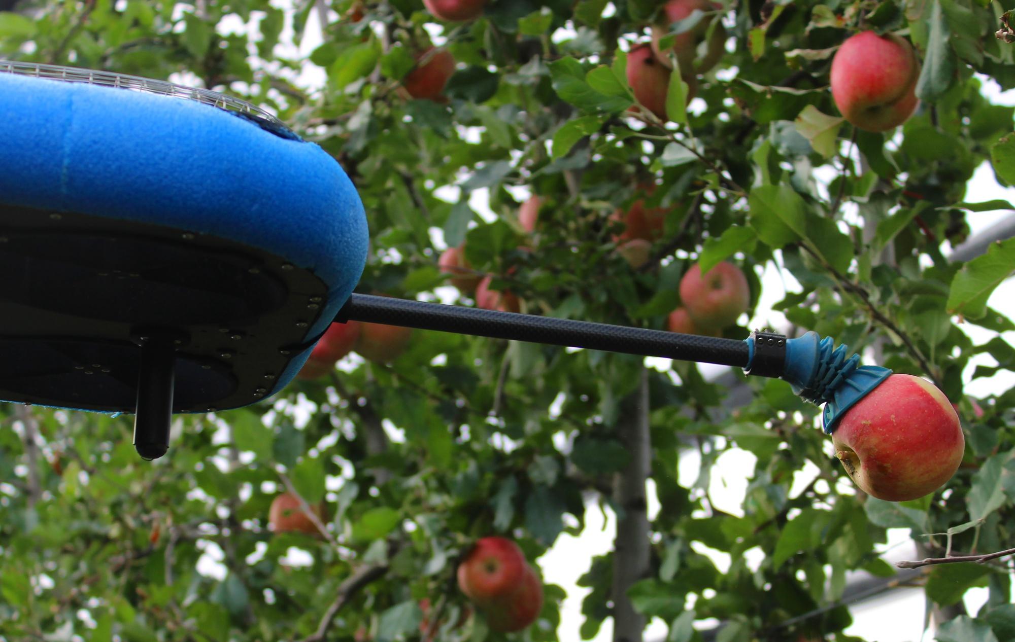With Labor And Climate Challenges, Farmers Turn To Robot Beehives ...