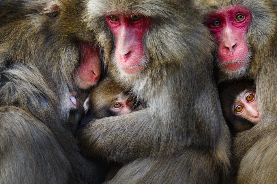 23 Amazing Photos Winners Of World Nature Photography Awards