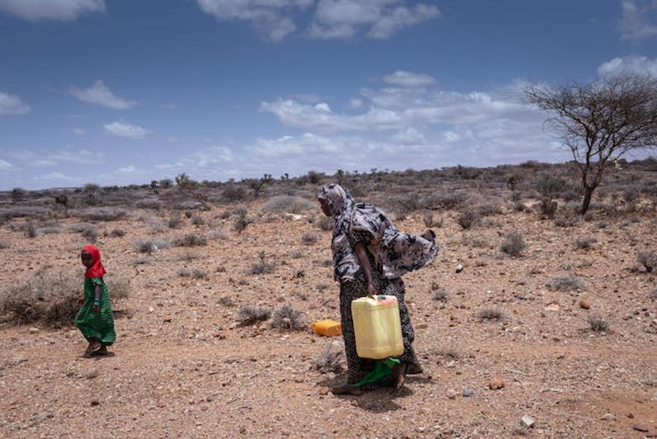 Water For All Is Good For Business